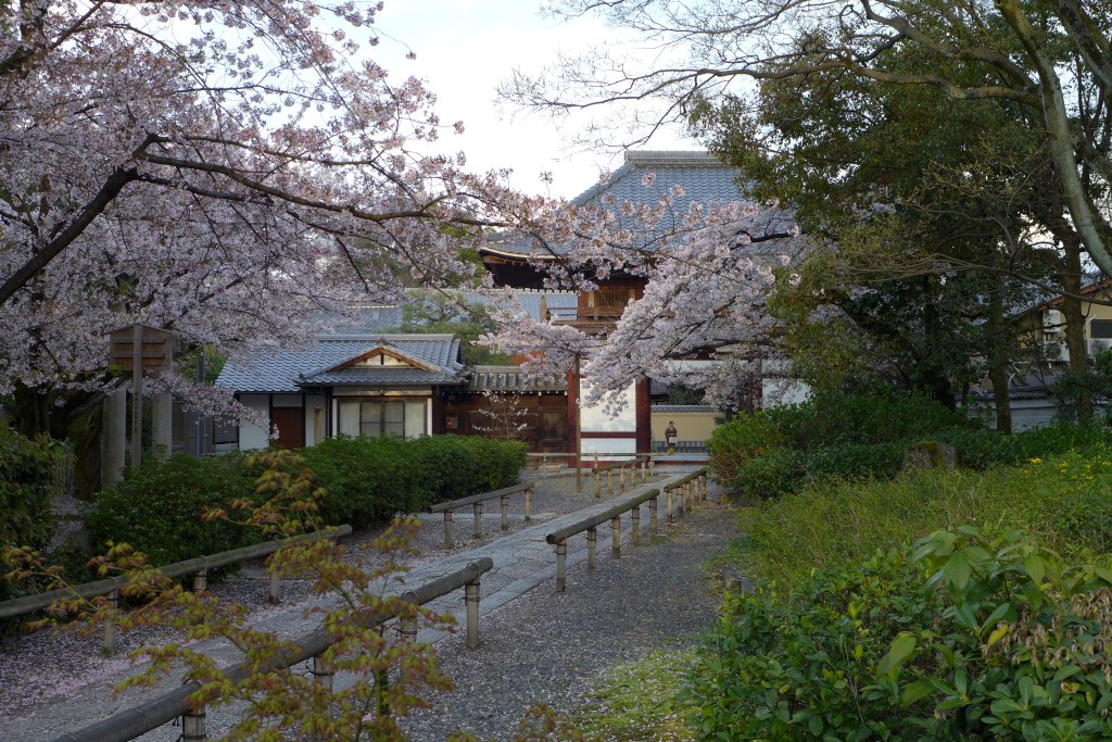 CHERRY BLOSSOM IN JAPAN: 3 THINGS YOU WILL EXPERIENCE AT ‘HANAMI’ – THE ...