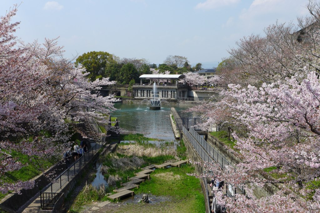 CHERRY BLOSSOM IN JAPAN: 3 THINGS YOU WILL EXPERIENCE AT ‘HANAMI’ – THE ...